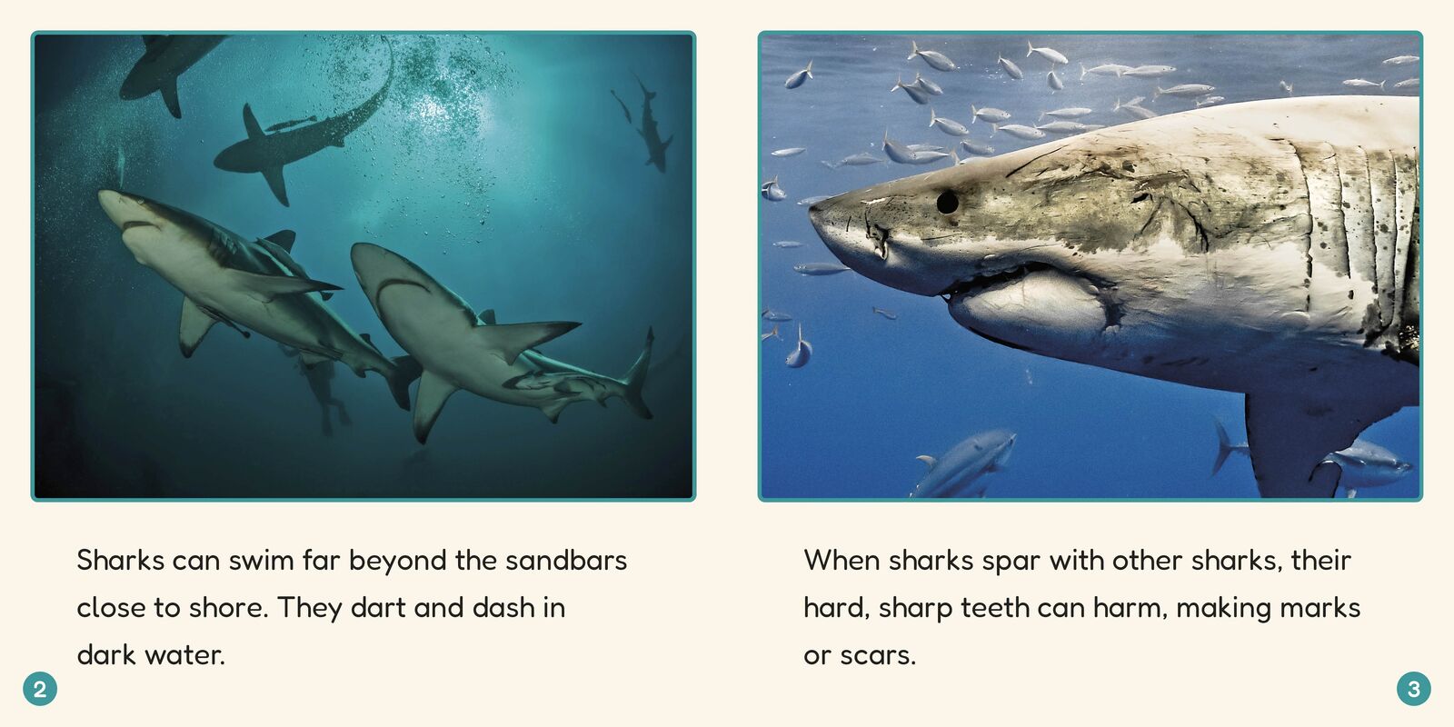 Lift Off Readers - R-Controlled Vowels and Long Vowel Teams Classroom ...