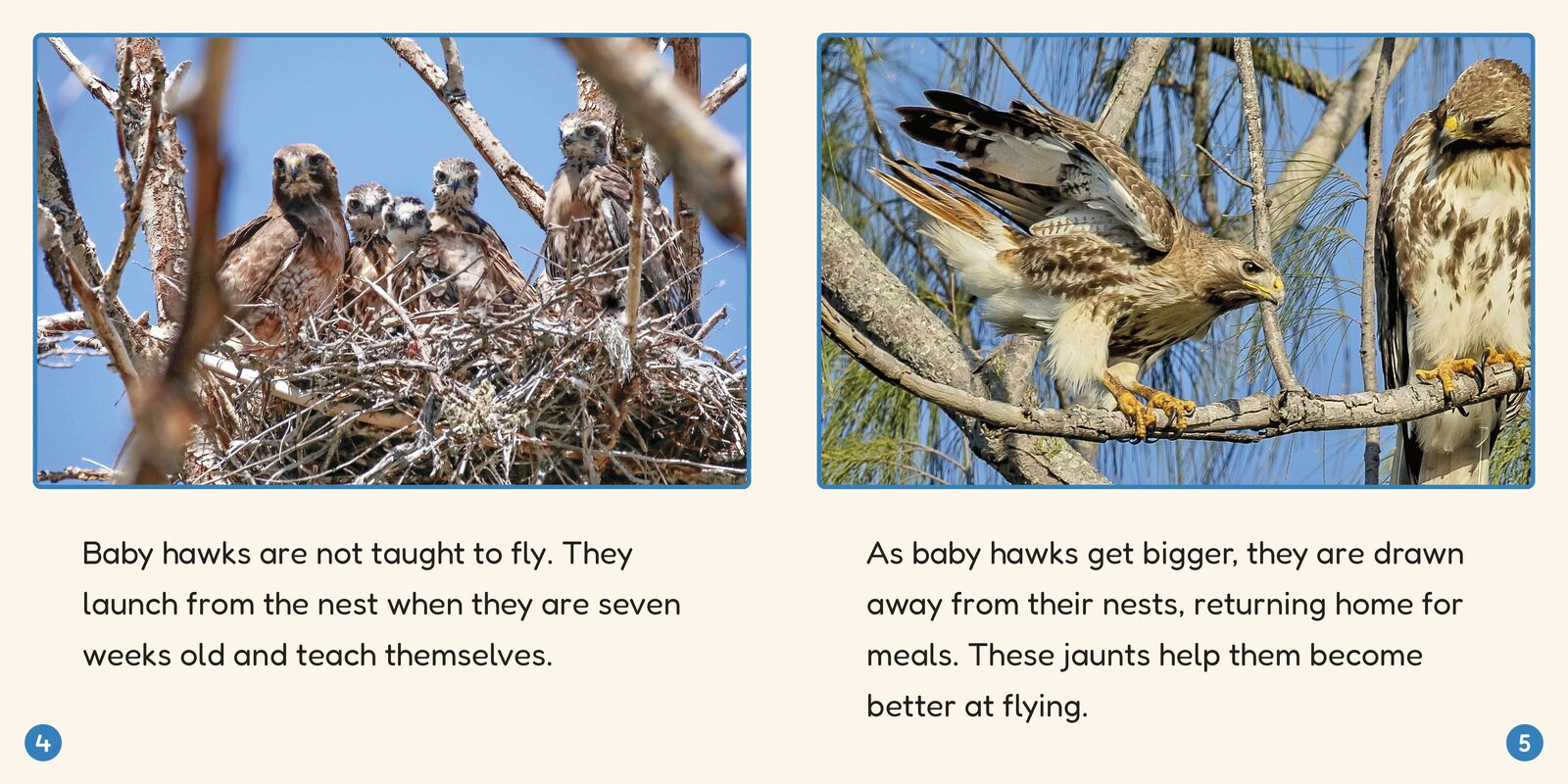 Lift Off Readers - Vowel Teams, Diphthongs, and Silent Letters ...